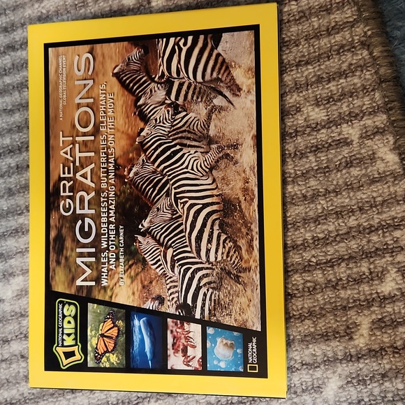 Accents | Great Migrations Whales Wildebeests Butterflies Elephants ...